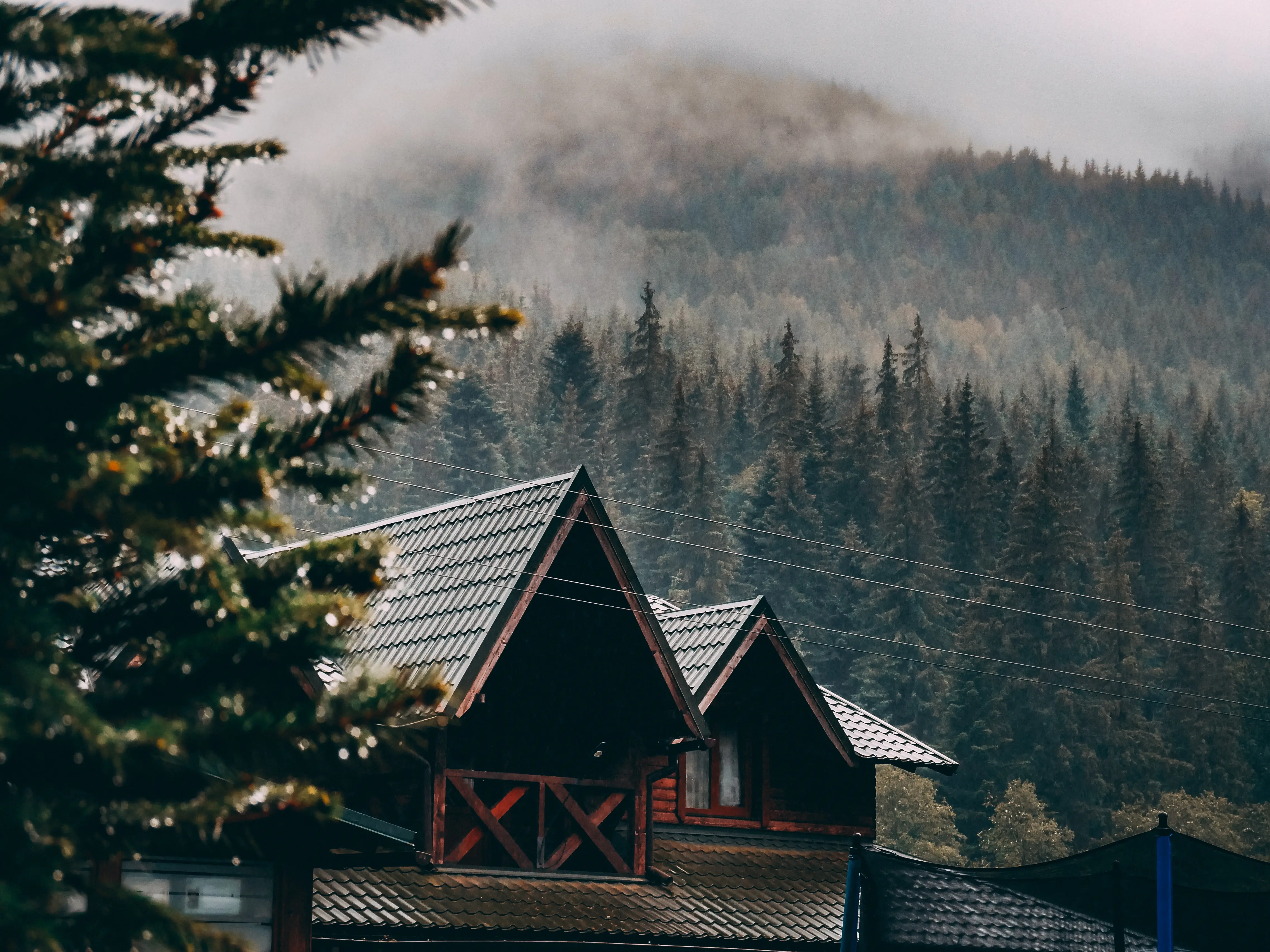 Visit Ardeal | Aventuri în Transilvania - Călărie & Off-Road